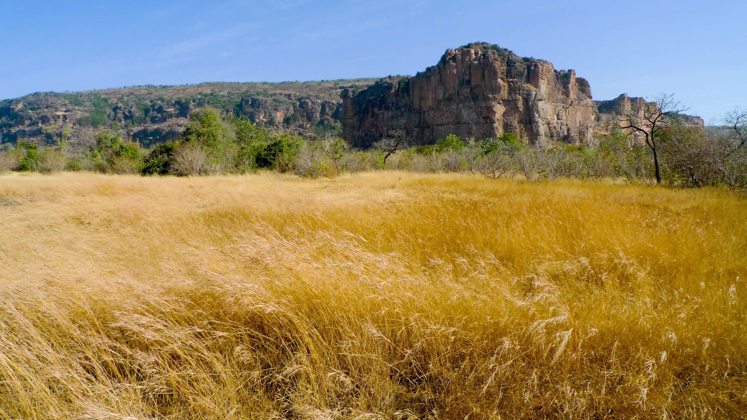 INDIGO FARM Siby/Mali - A WORLD OF BLUE